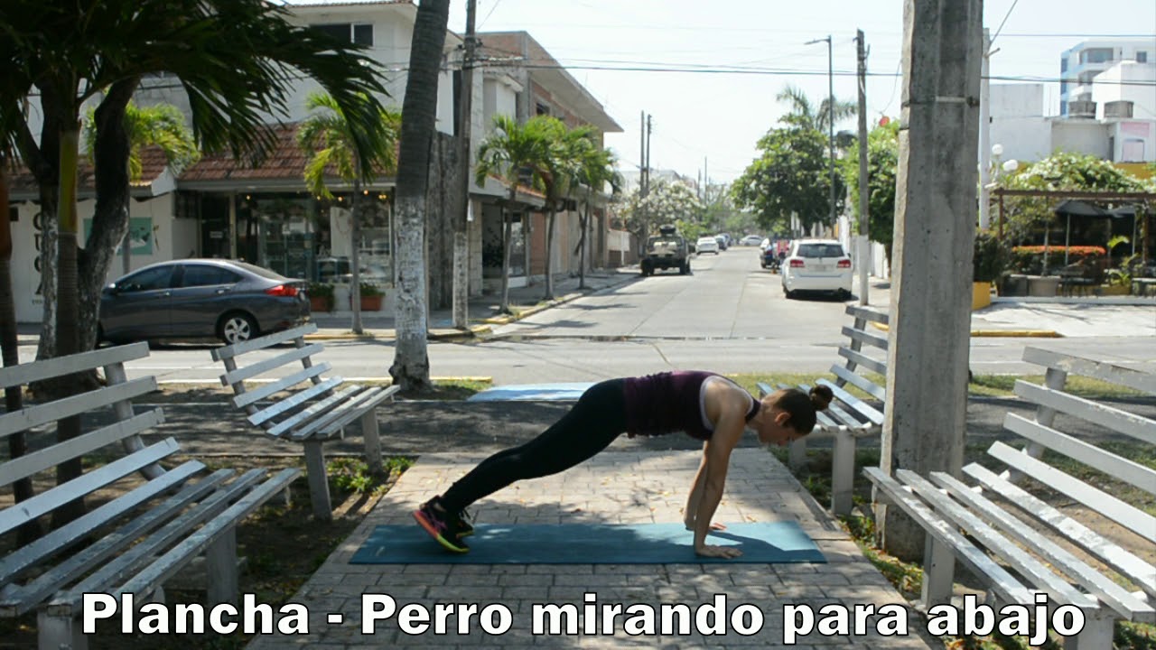 De plancha a perro mirando para abajo - YouTube
