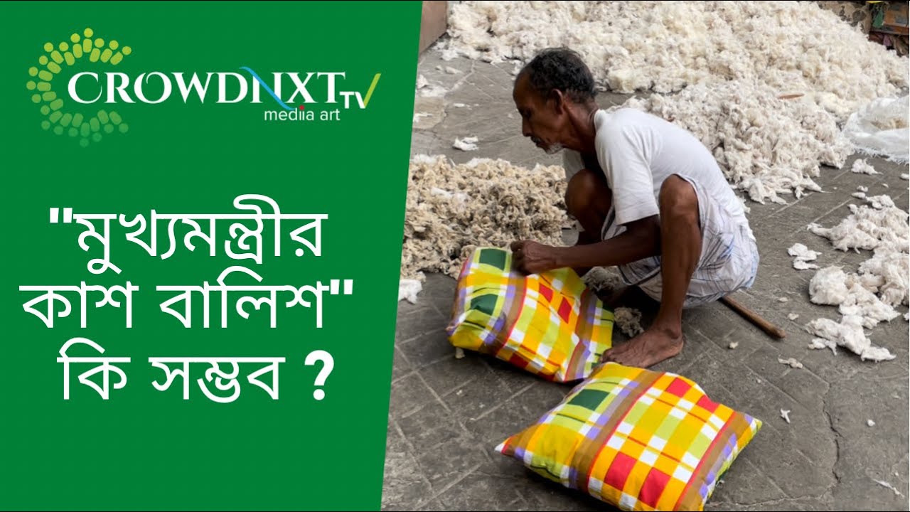 মুখ্যমন্ত্রীর কাশ বালিশ কি সম্ভব ? | Pillow from Kash Phool (Saccharum ...