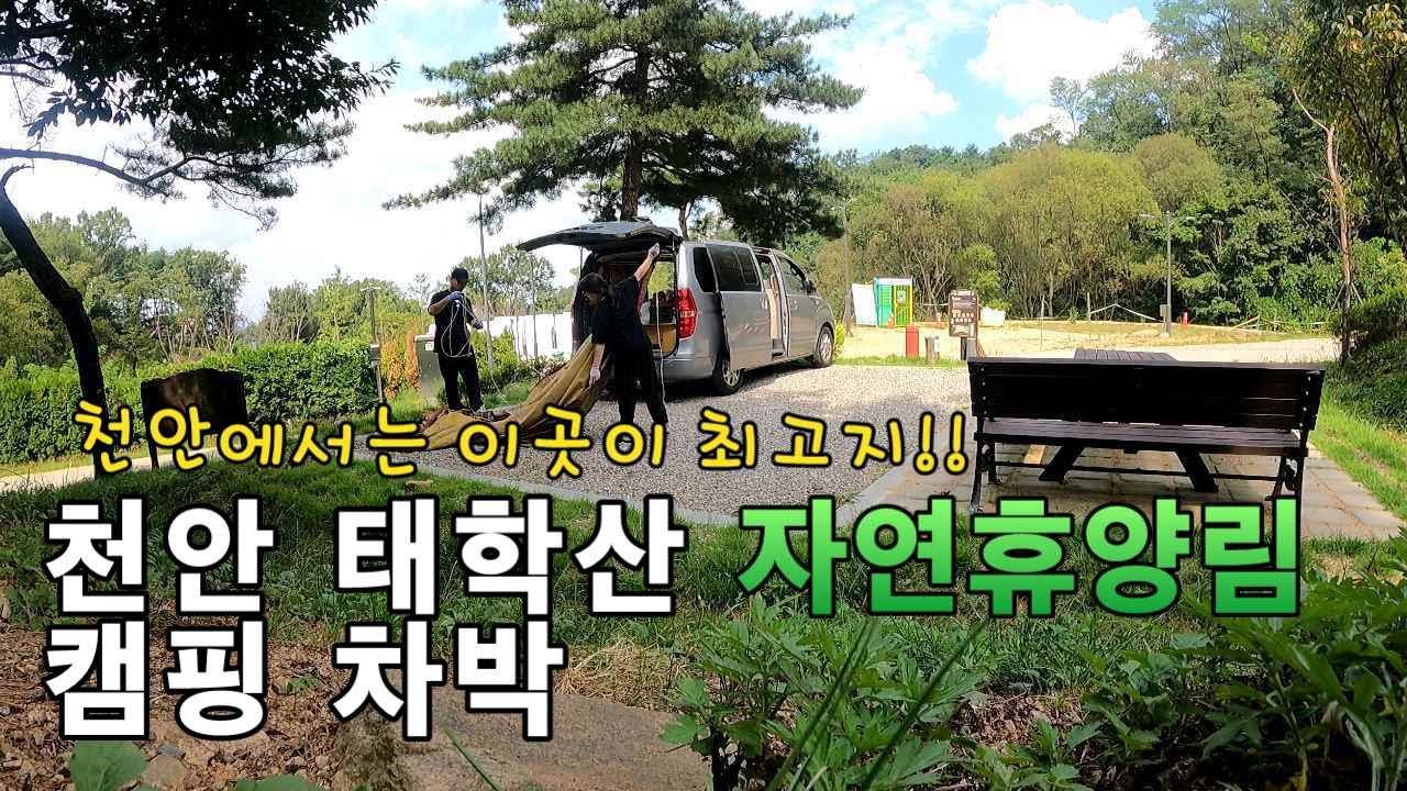 천안 태학산 자연휴양림 캠핑 차박 가을을 느낀 차박이란 이런 것 스타렉스 부부 차박 캠핑 차박 캠핑장소개 Youtube