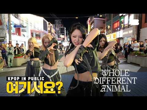 [여기서요?] 에스파 aespa - WDA (B Team ver.) | 커버댄스 Dance Cover @홍대
