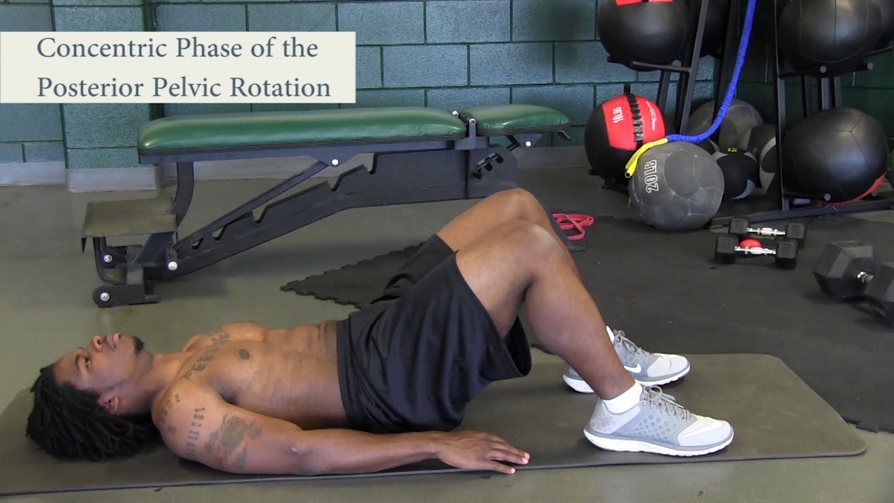 Concentric Phase of the Posterior Pelvic Rotation - YouTube