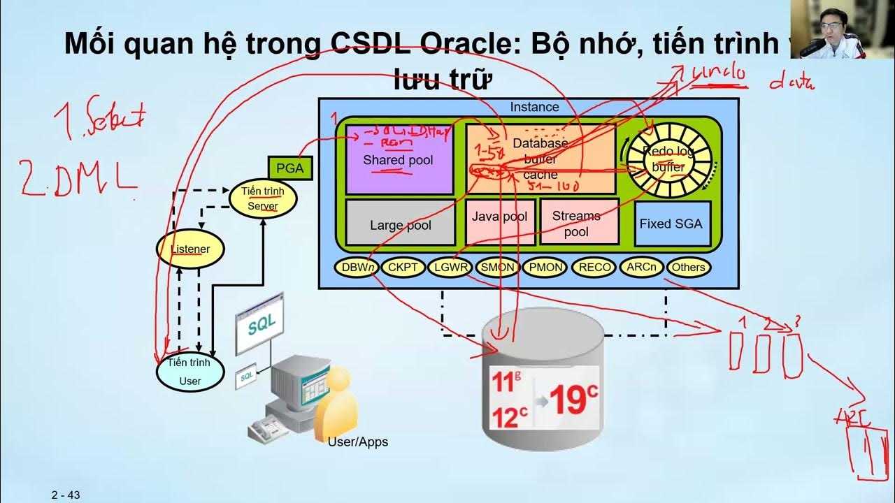 Buổi 02 - 2.Áp dụng kiến trúc CSDL Oracle để hiểu được SELECT, INSERT, DELETE, DDL | Trần Văn ...