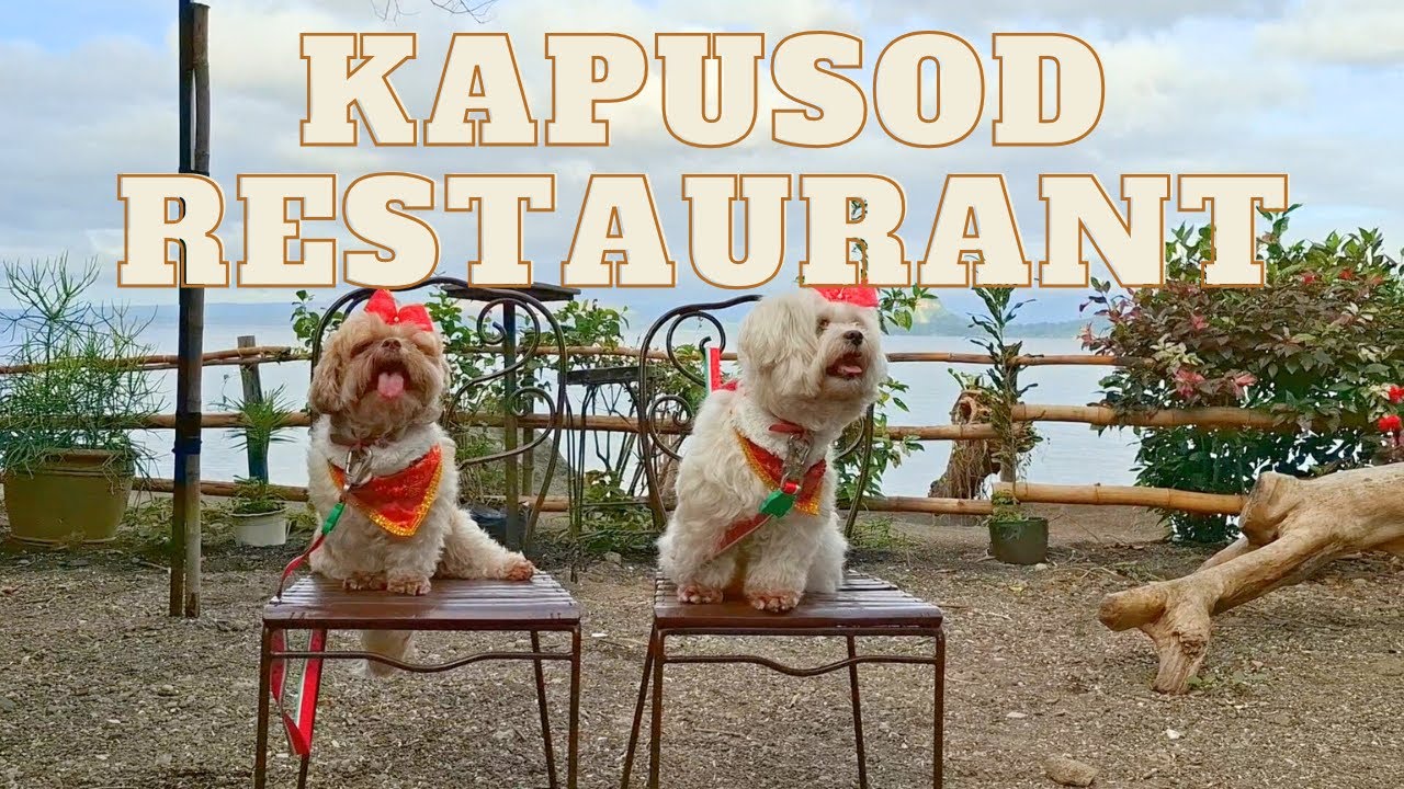 KAPUSOD RESTURANT IN LIPA BATANGAS WITH OUR DOGS | PET FRIENDLY - YouTube