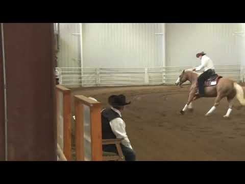 200920 Open Cass Fox on Gunnaseeya - YouTube