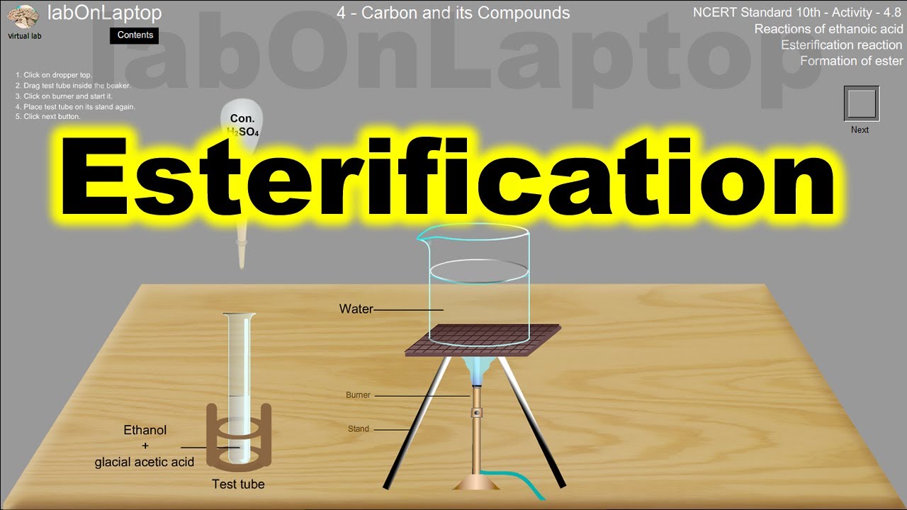 NCERT Class 10th Activity 4 8 Carbon Its Compounds Esterification ncert-class-10th-activity-4-8-carbon-its-compounds-esterification