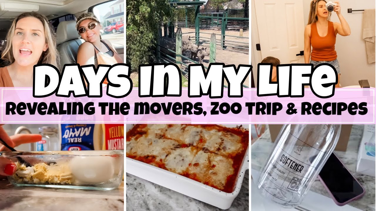 DAYS IN MY LIFE VLOG: REVEALING THE MOVERS, ZOO FUN, HEALTHY RECIPES & UNBOXING : BUSY MOM LIFE ...