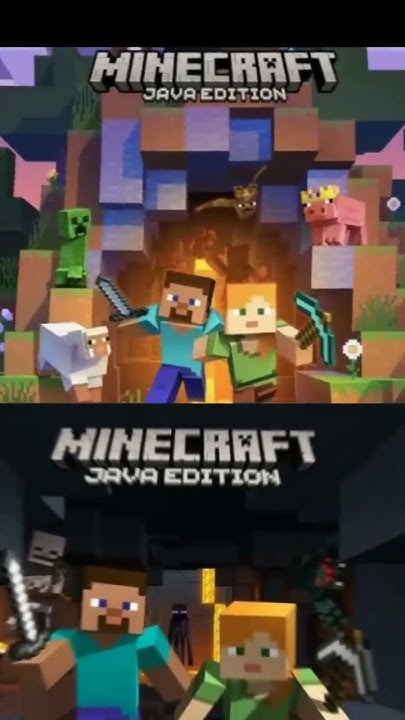 Minecraft Pocket Edition Vs Java #shorts #Minecraft #youtubeshorts# ...