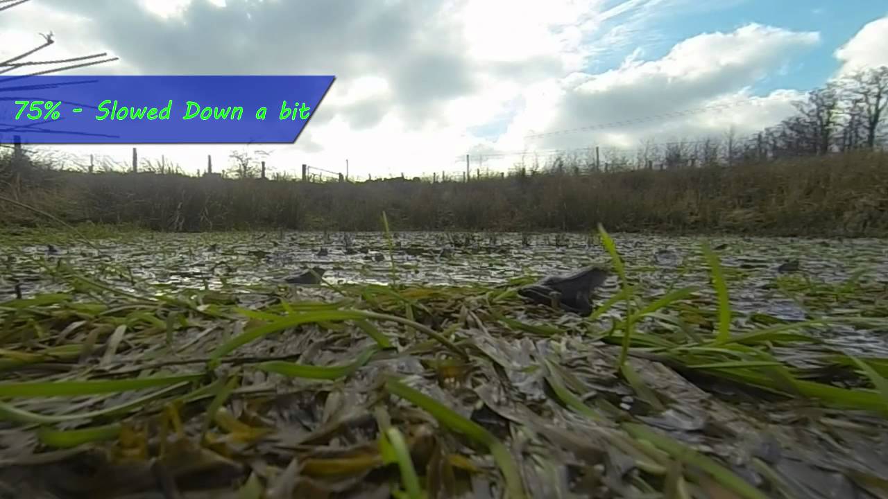 GoPro HD - The Leap of Frog, Super Slow Motion Test! - YouTube