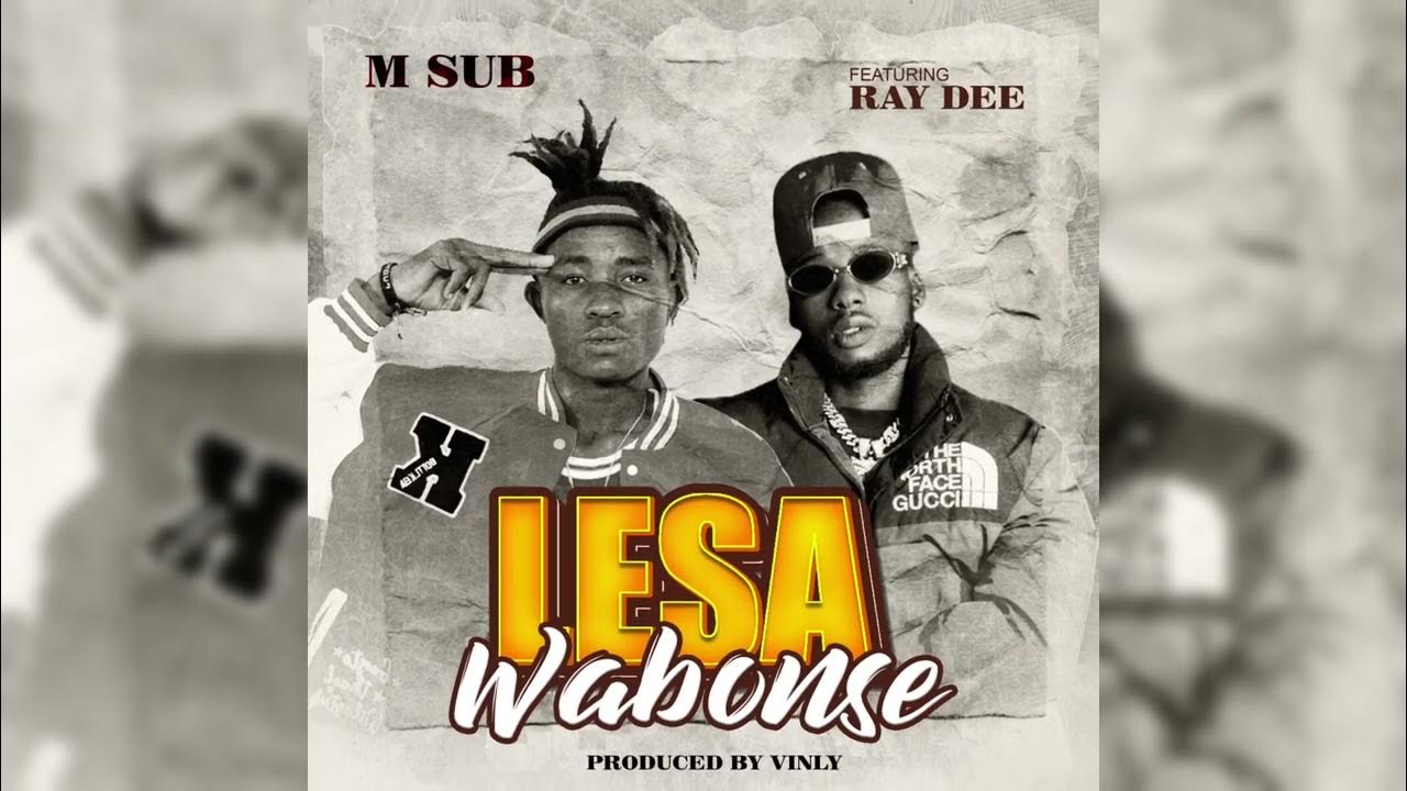 M Sub - Lesa Wabonse (feat Ray Dee) [Audio Visualizer] - YouTube