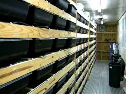 Rodent Room The Reptile Spot - YouTube