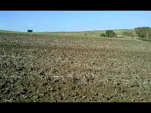 CLAAS ARES 557 ATX CULTIVATING WITH CULTUVATOR - KÜLTÜVATÖR İLE TARLA SÜRÜYOR 2009 PART1...!!!
