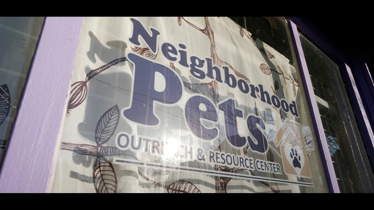 Neighborhood Pets Cleveland - YouTube