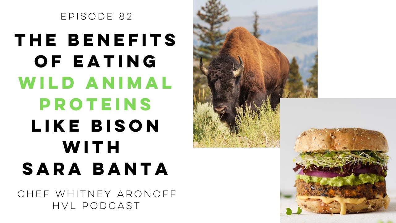 The Benefits Of Eating Wild Animal Proteins with Sara Banta of ...