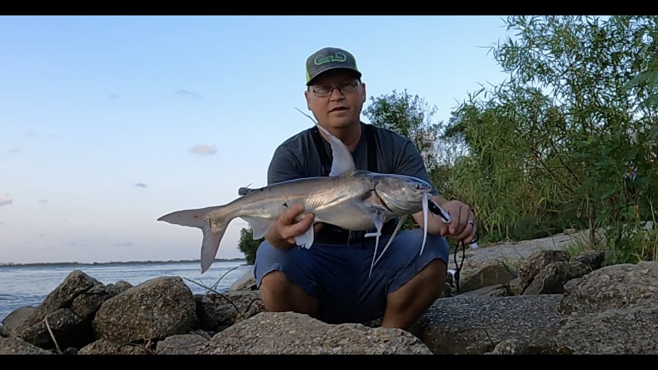 Sailcat city fishing the Mississippi River | Catfish - YouTube
