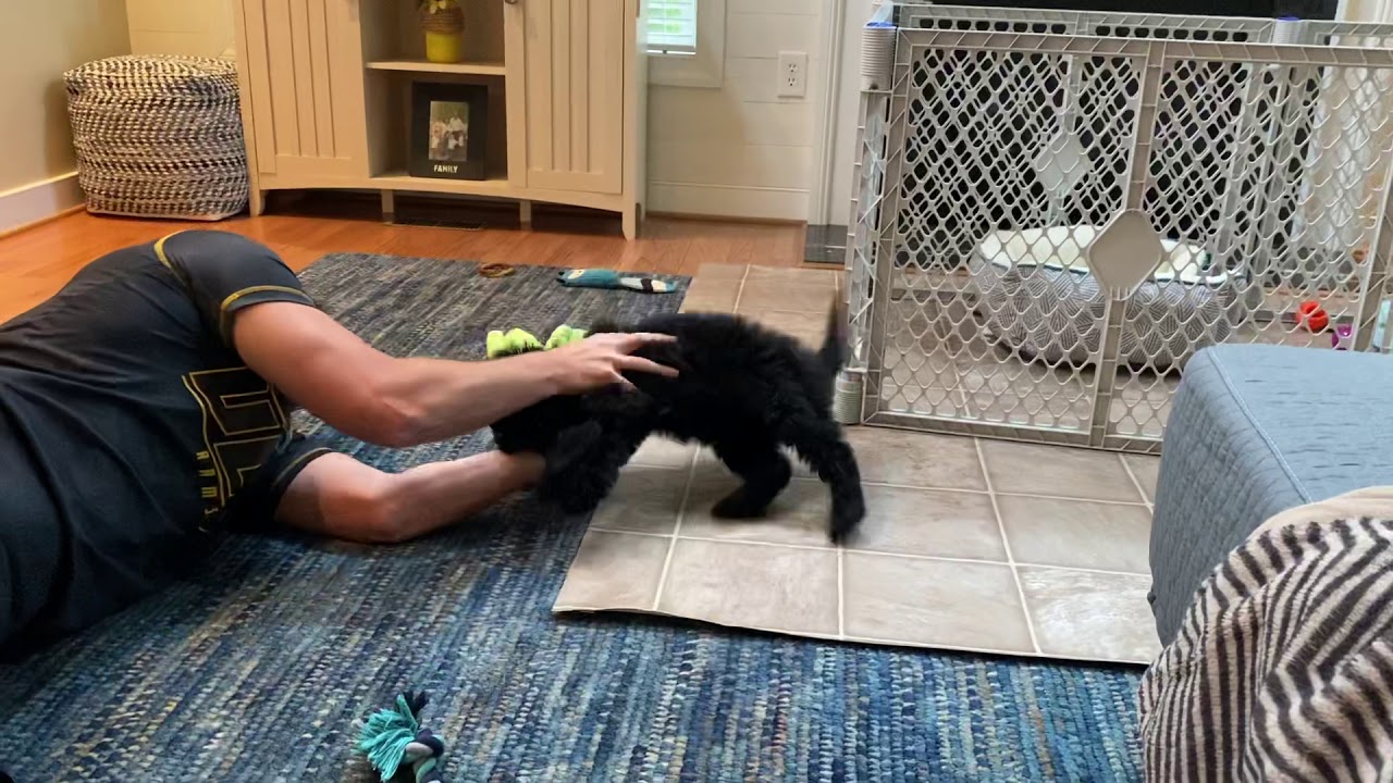 Larry & Jasper May 2020 - YouTube