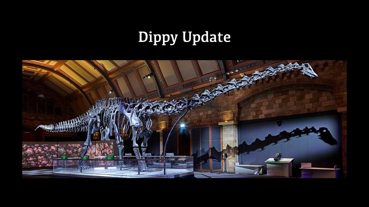 Dippy Update - YouTube