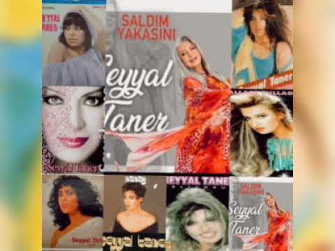 Seyyal Taner _ Seçmeler 