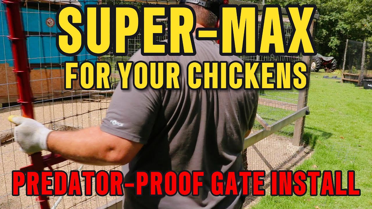 SUPER MAX For Your Chickens - Predator-Proof Gate Install - YouTube