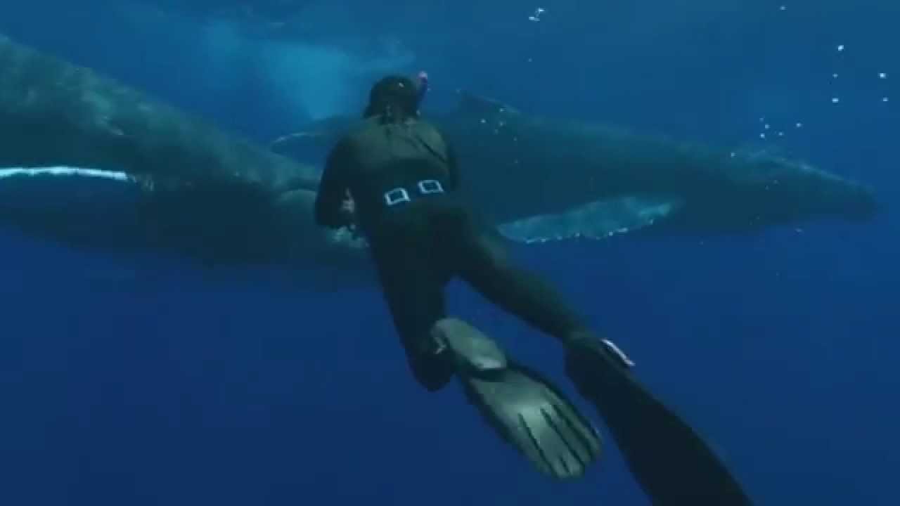 thomas snores like a whale - YouTube