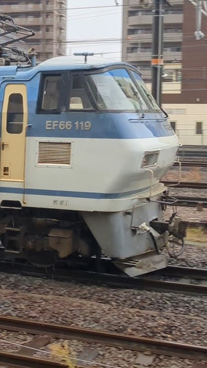 8865レef66-119 #jr #鉄道 #電車 #train #琵琶湖線 #jr貨物 #ef66100番台 #railway #サメ - YouTube