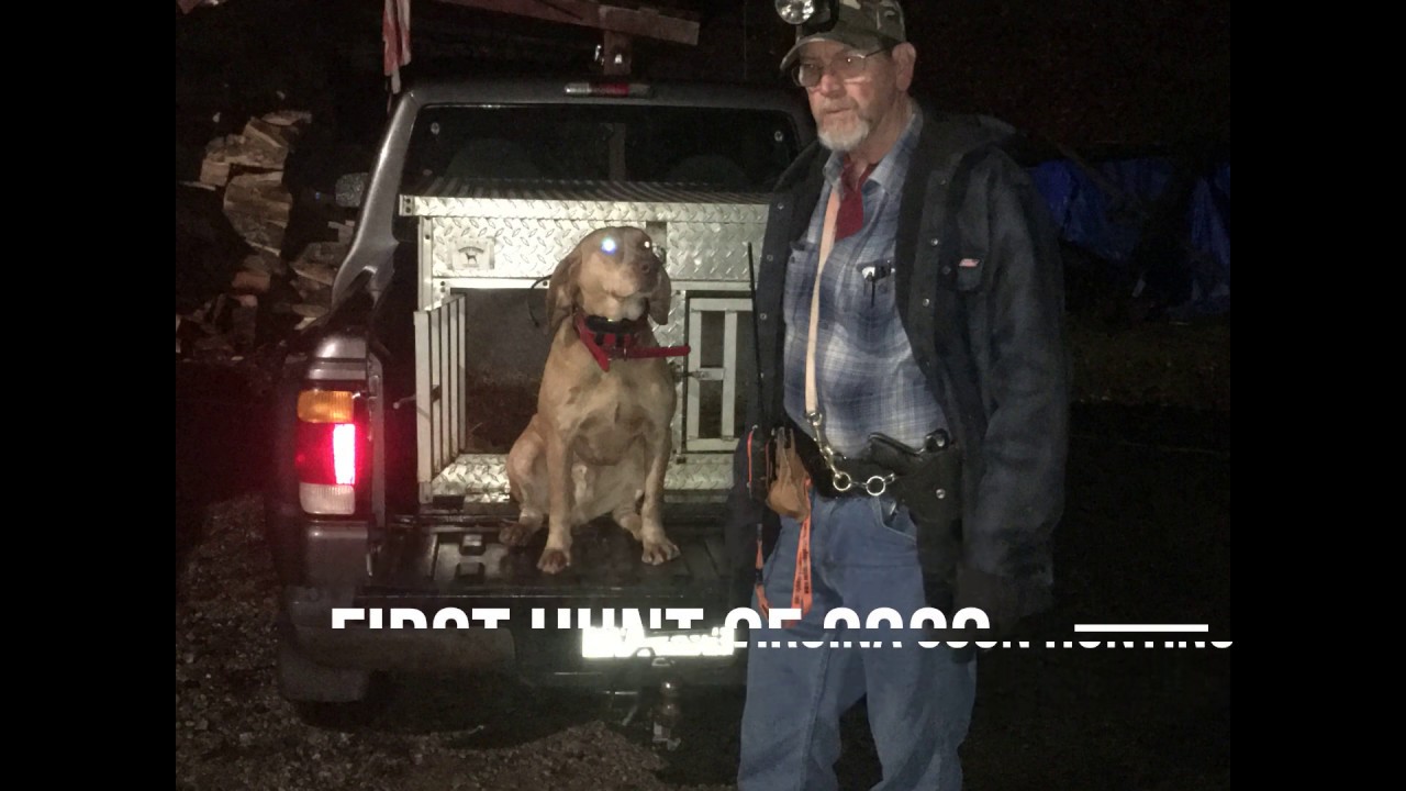 1st hunt 2020 - YouTube