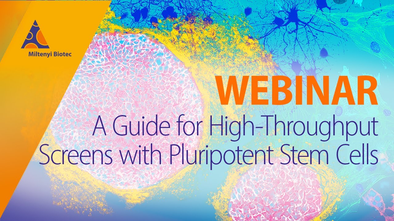A Guide for High-Throughput Screens with Pluripotent Stem Cells ...