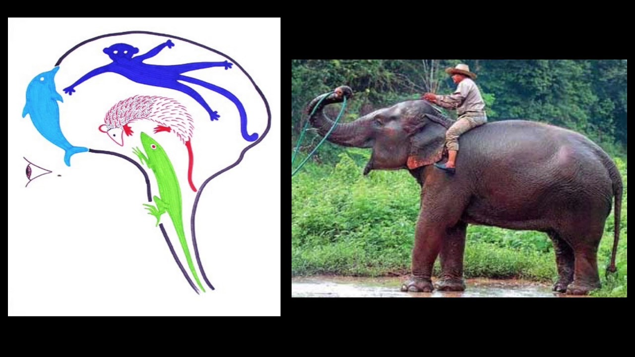 Self-Blindness - Part 1 (Cognitive Biases) | Brain & Behavior 7/10 ...