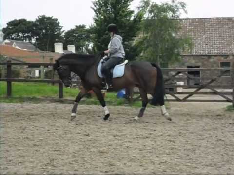 19-06-11 Basset and Boss