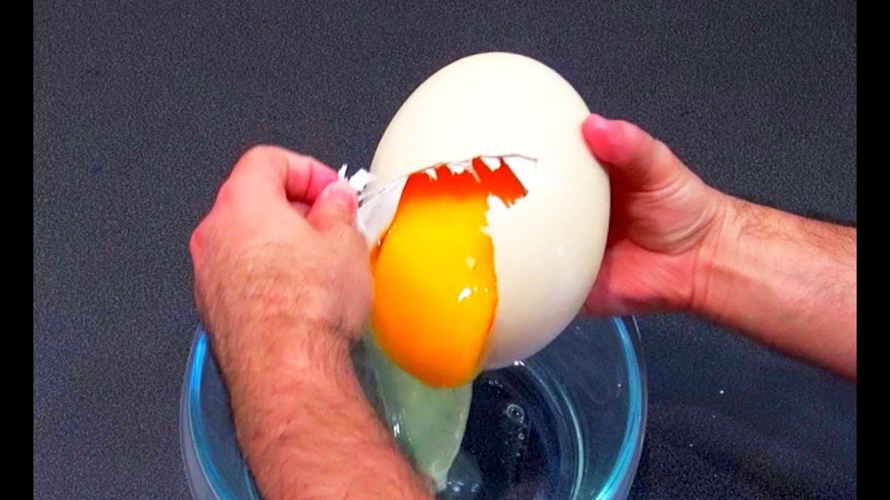 The Biggest EGG, How many kilos? What is the taste and how to Cook ...
