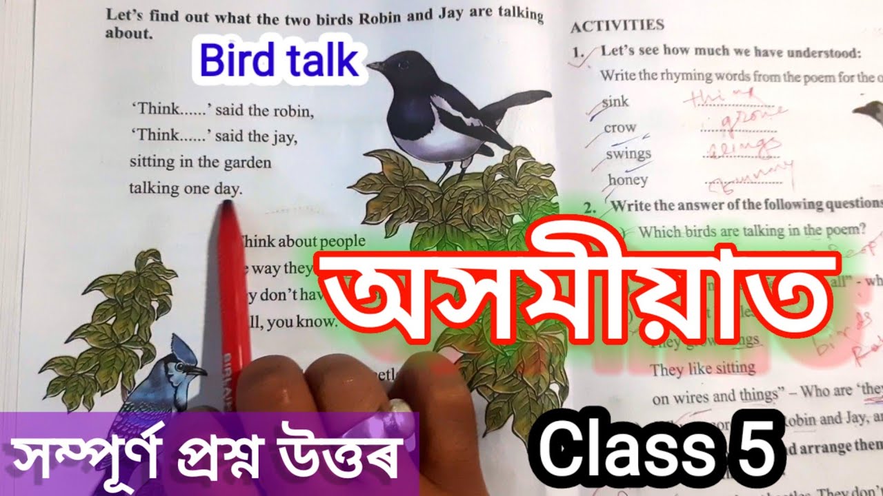 Class 5 English Lesson 3 Questions Answer Bird Talk Questions Answer class-5-english-lesson-3-questions-answer-bird-talk-questions-answer