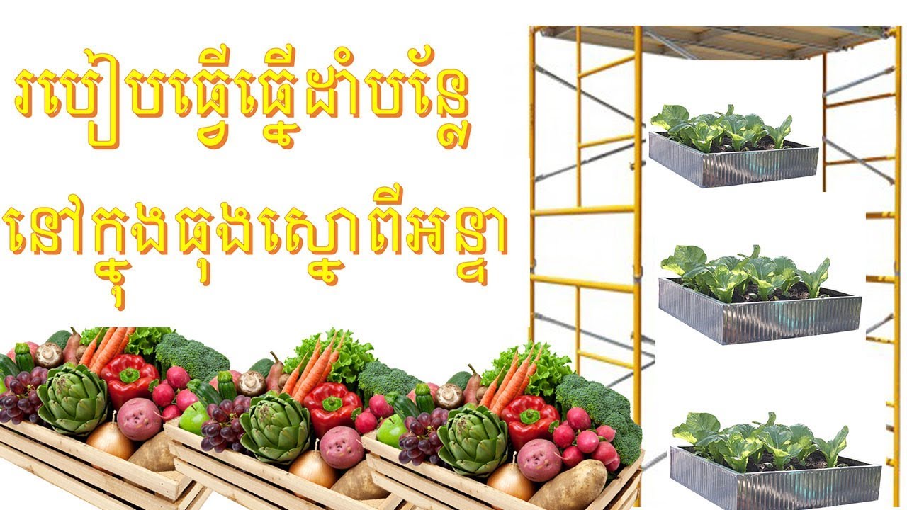 របៀបធ្វើធ្នើដាំបន្លែលើដំបូលផ្ទះ | Make very strong Vegetable shelves at ...