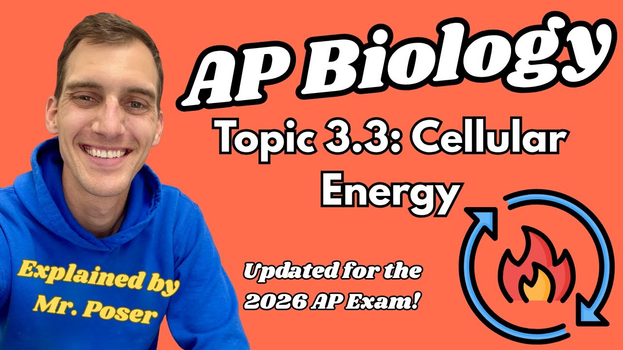 3.3 Cellular Energy - AP Biology (Updated 2025-2026) - YouTube