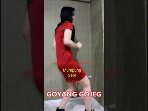 Goyang dedek gemes😍