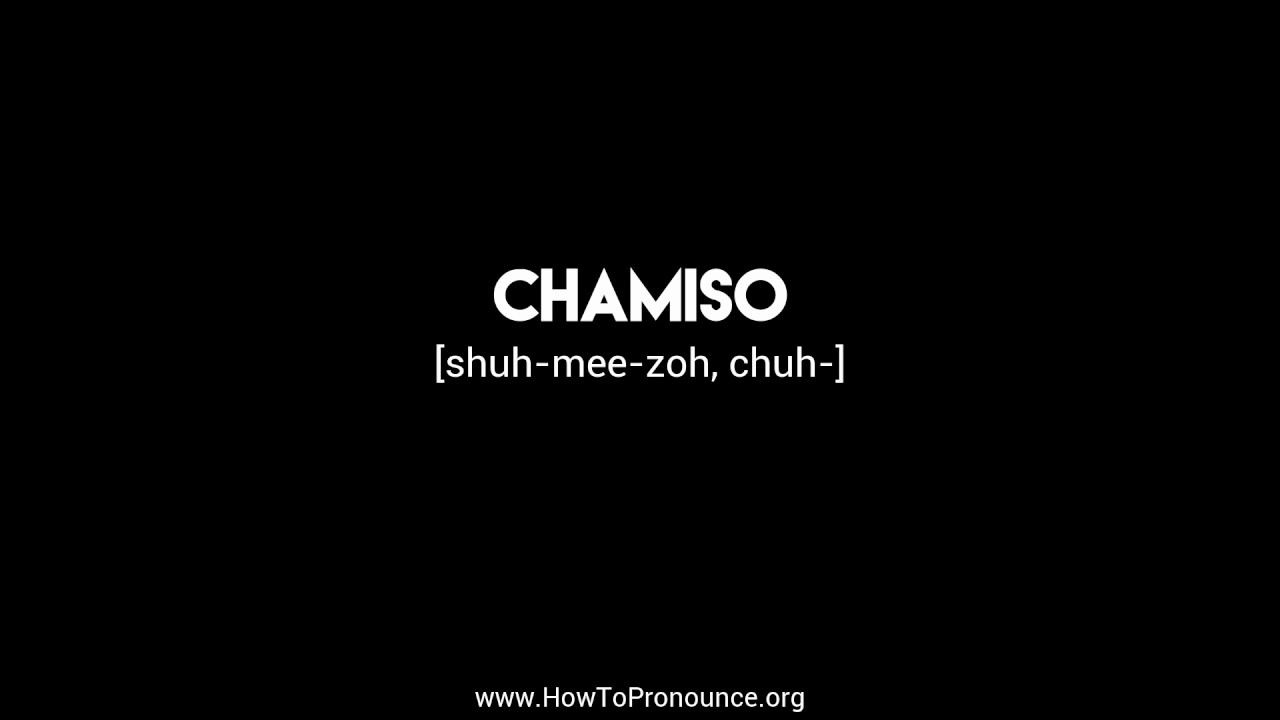 How to Pronounce "chamiso" - YouTube