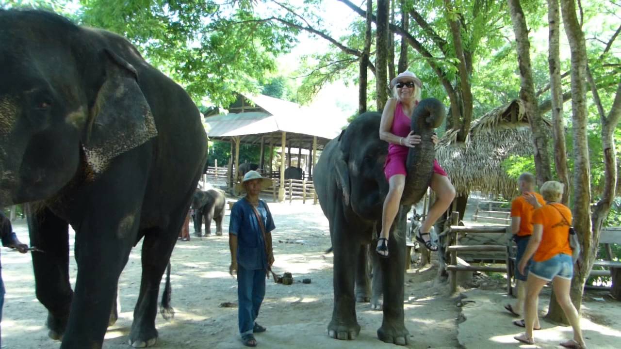 P1020550 elephant picks up BB - YouTube