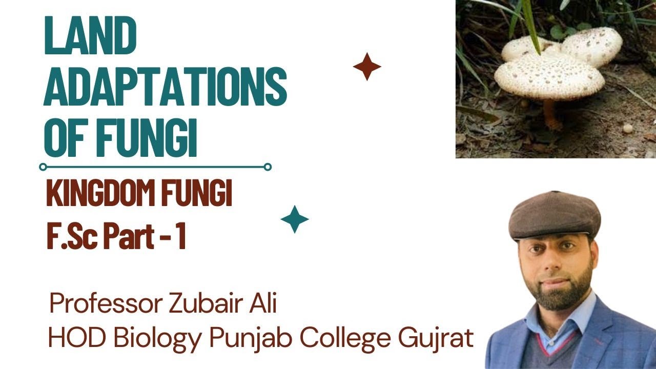 Land Adaptations Of Fungi by Zubair Ali|F.Sc Part-1 |Kingdom Fungi ...