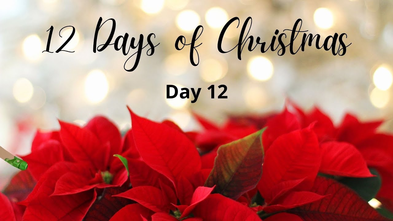 12 Days of Christmas Devotional Series - Day 12 - YouTube