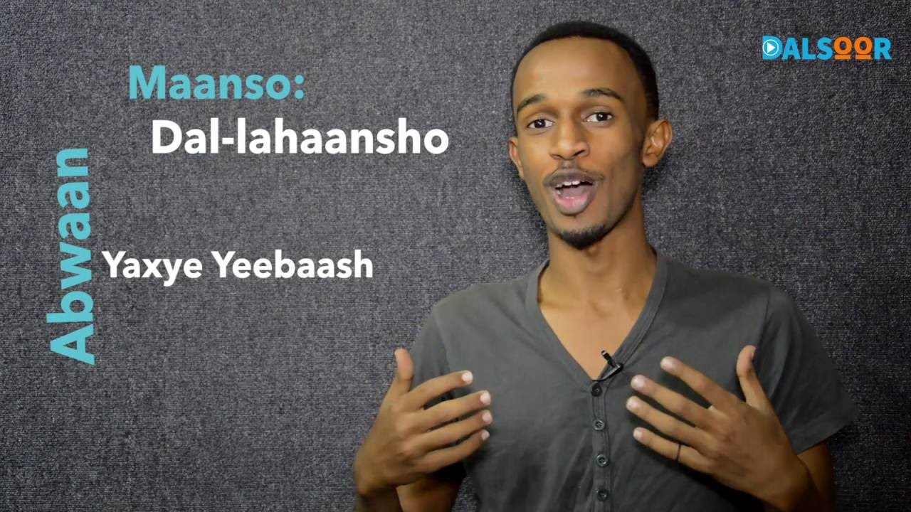Maanso: Dal-lahaansho - Yaxye Yeebaash - YouTube