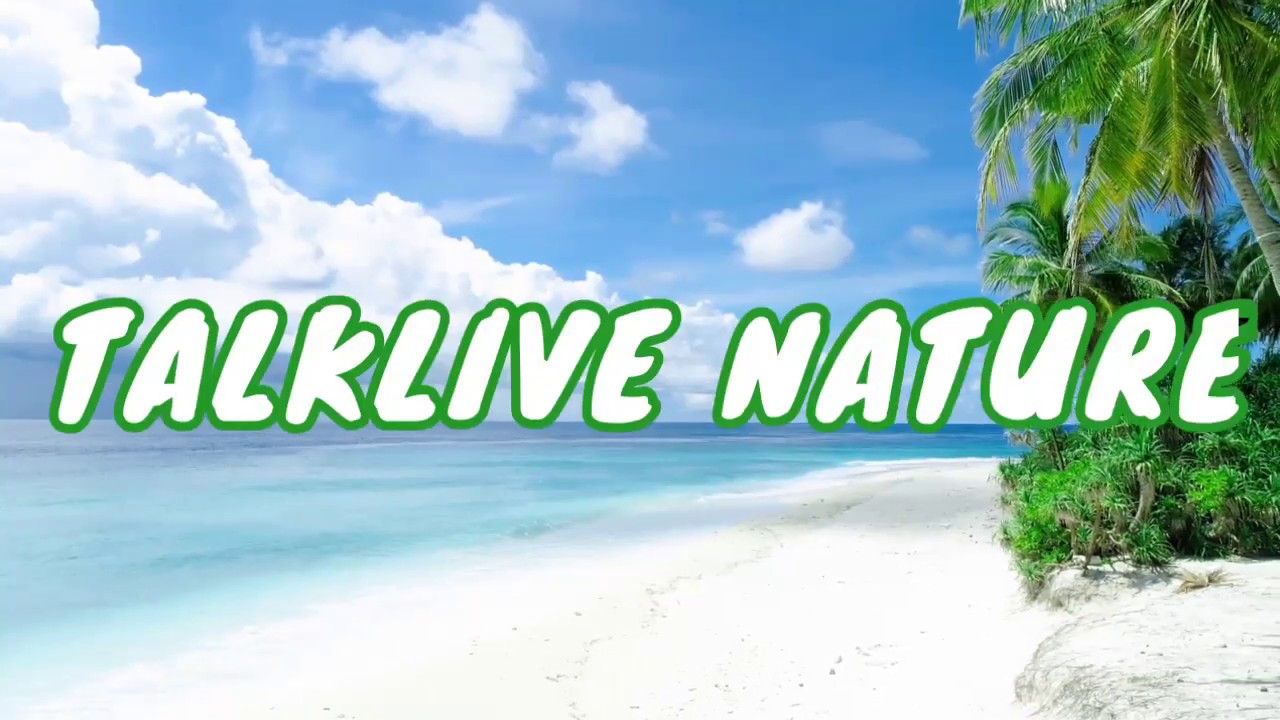 AMAZING NATURE || Talklive Nature - YouTube