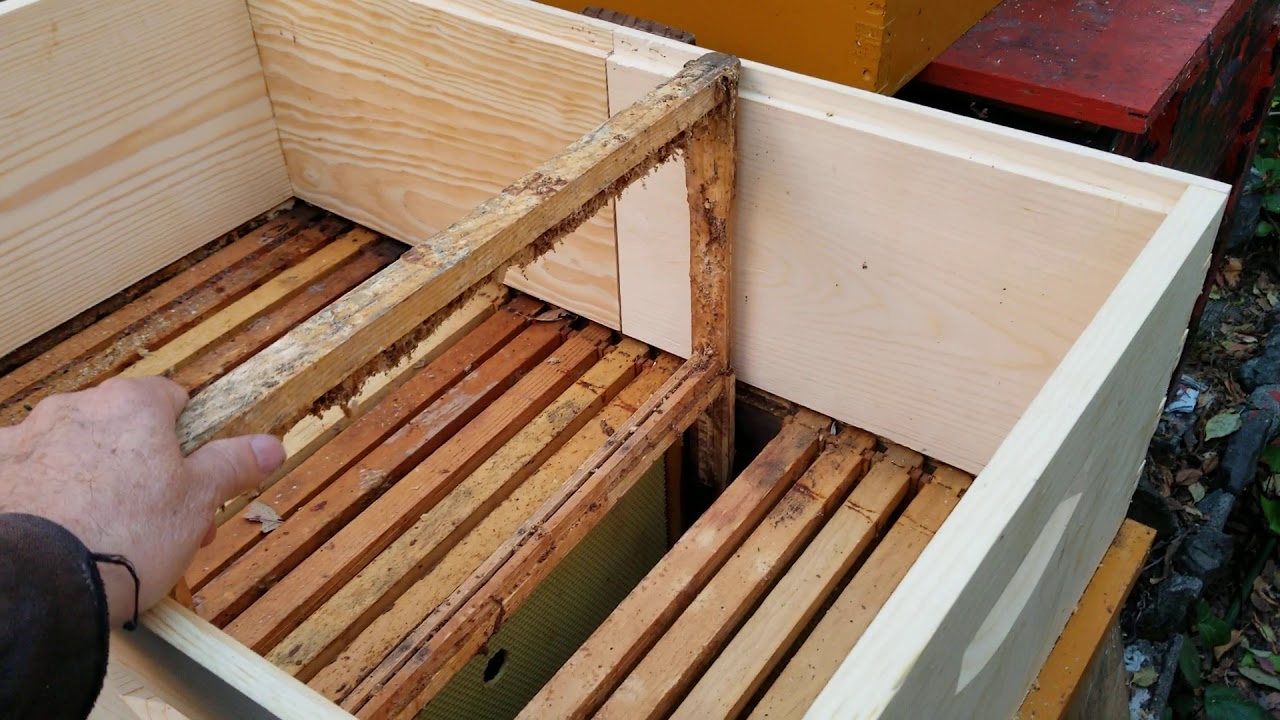 Langstroth to Layens modification - YouTube