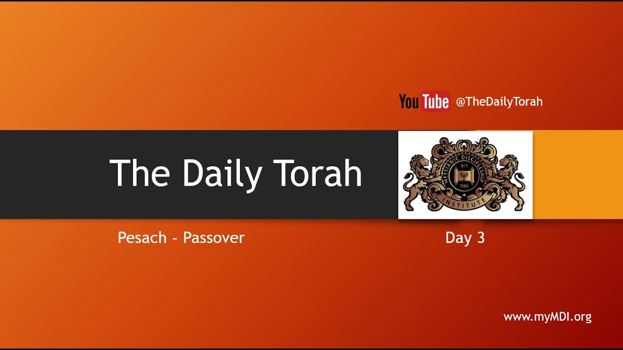 Pesach - Passover - Day 3 (5785) - YouTube
