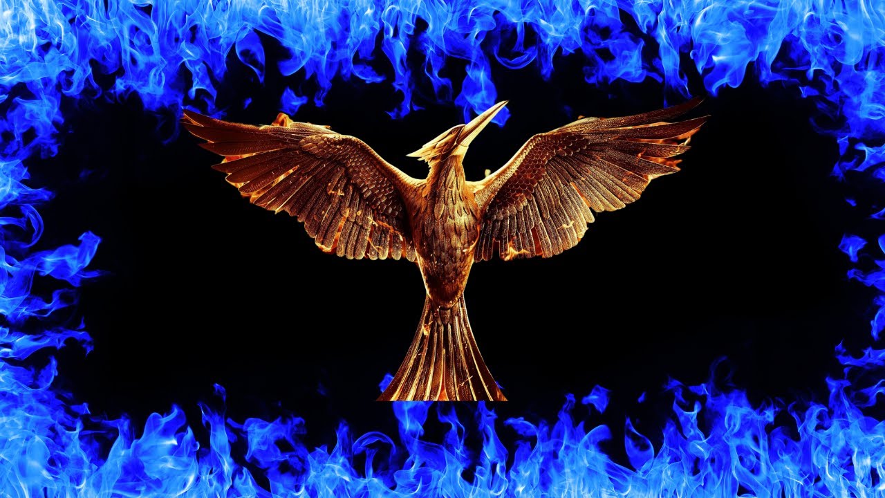Doenut and Tommy's Truthful Interview with Archaix Phoenix Phenomenon ...