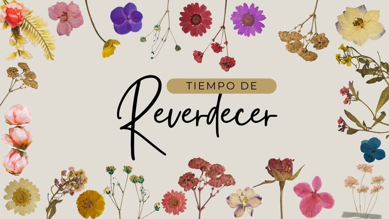 TIEMPO DE REVERDECER- PASTORA MARTHA MORALES - YouTube
