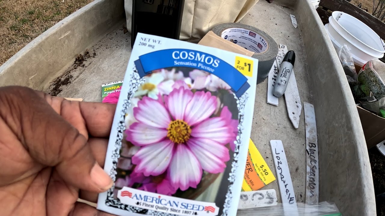 QUICK WATERING & DROPPING MORE SEEDS - YouTube