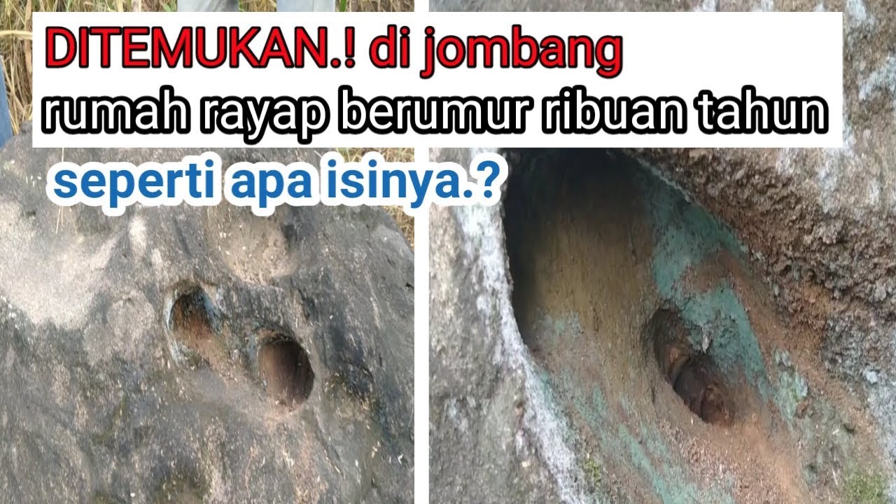 MENGEJUTKAN.! DI TEMUKAN RUMAH RAYAP BERUMUR RIBUAN TAHUN | fosil batu ...