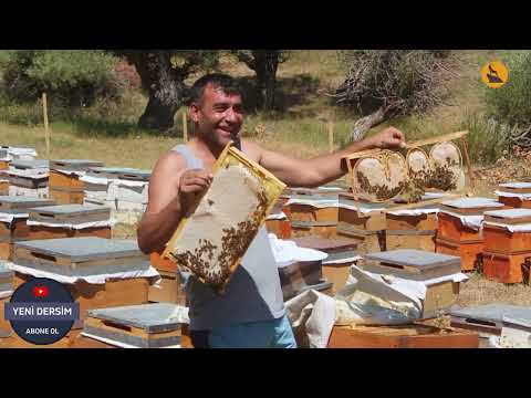 Türkiye Arıcılar Birliği Başkanı Ziya Şahin: Dünya pazarında olmak zorundayız