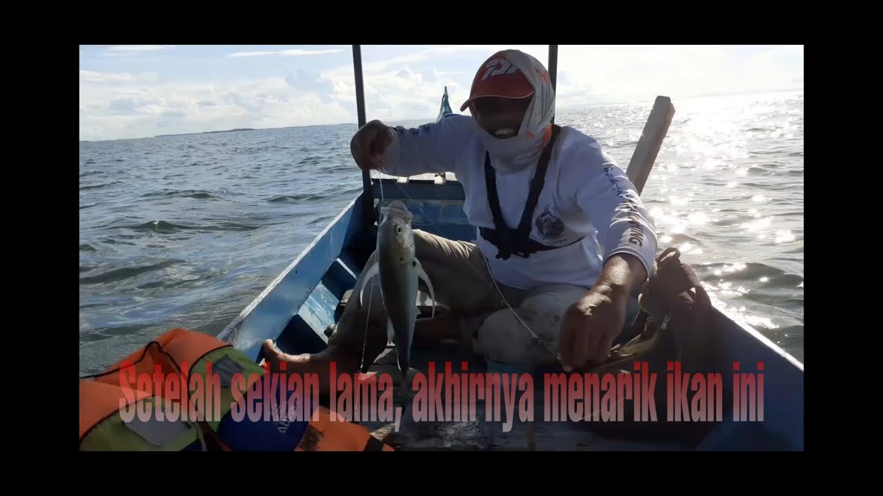 Trakulu pun Landed, Dominasi Ukuran Babon || Bottom Fishing - Live Bait ...