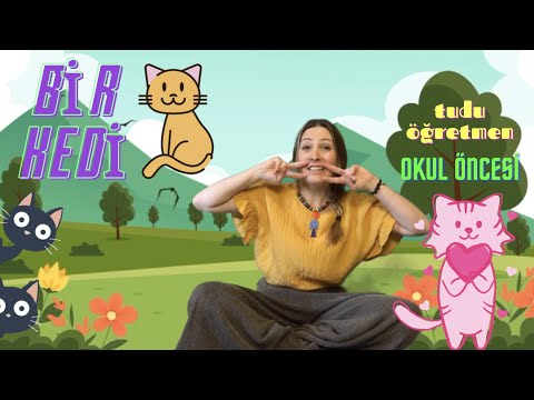 Bir Kedi - Tudu Öğretmen