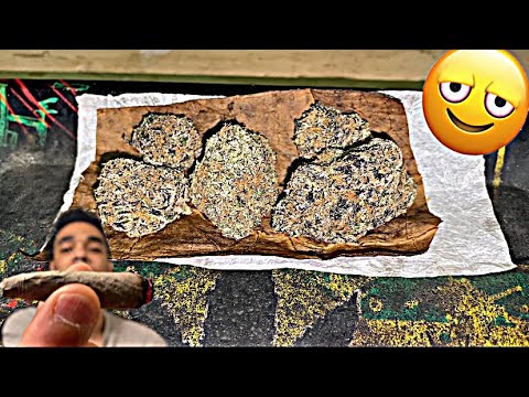 PERFECTLY ROLLED BACKWOOD HAD ME FRIED ... - YouTube