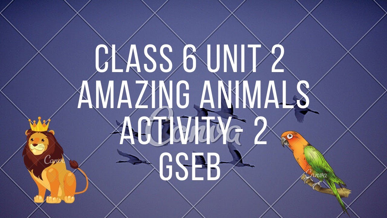 Class 6 explanation of unit 2 Amazing Animals - YouTube